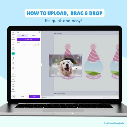 Editable Birthday Display | Add Your Students' Faces & Names (Editable ...