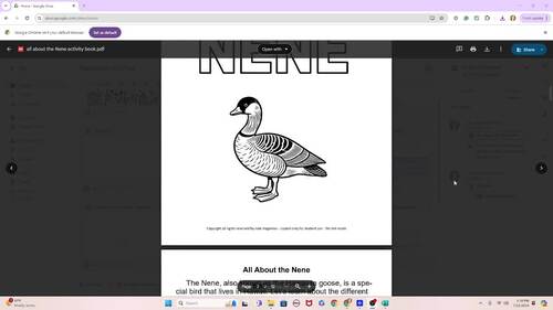 All About the Nene - Activity Book - Animals of Hawaii | TPT