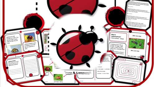 Insect Life Cycle 1st Grade NGSS Lesson by Mrs Lena | TPT