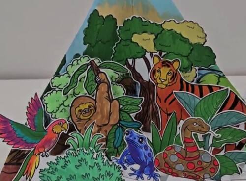 Forest Coloring Triorama, Rainforest, Woodland, Science Habitat Project ...