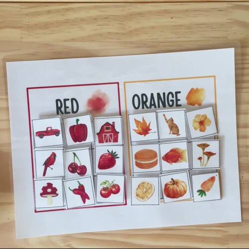 Color Sorting for Visual Discrimination & Categorization Skills | TPT