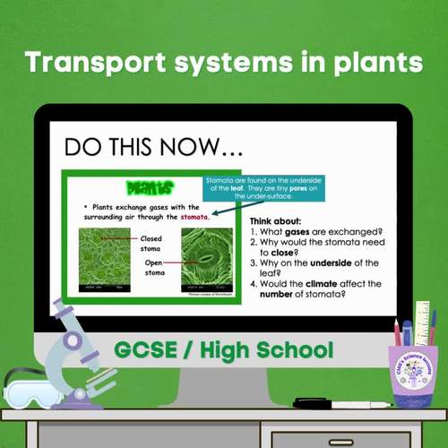 Transport systems in plants (GCSE) by CMGs Science lessons | TPT
