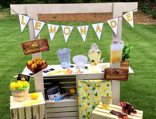 Dramatic Play - Lemonade by Miss Fuzzy Bee | TPT