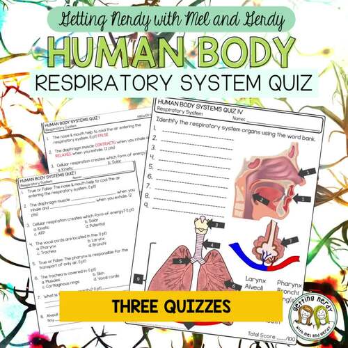 Respiratory System | Human Body | Lung Structure & Function Quizzes ...