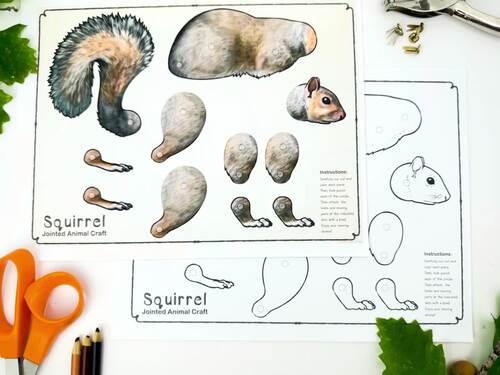 Squirrel | Jointed Animal Craft | Articulated Craft | Squirrels | TPT
