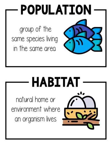 Science Word Wall Cards for Elementary | Life Science Vocabulary