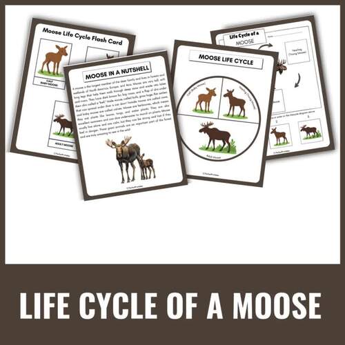 Life cycle of a Moose, Arctic Mammal Animals science unit study with ...