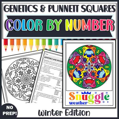 Mendelian Genetics and Punnett Squares Winter Color by Number | Biology ...