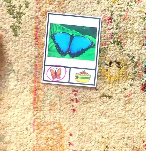 Non-Identical Object Matching Photo Task Cards | TPT