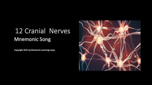 12 Cranial Nerves Mnemonic Song Video by Mnemonics Learning Loops