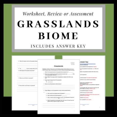 Grasslands Biome: Warm Up/Exit Ticket, Worksheet or Assessment | TPT