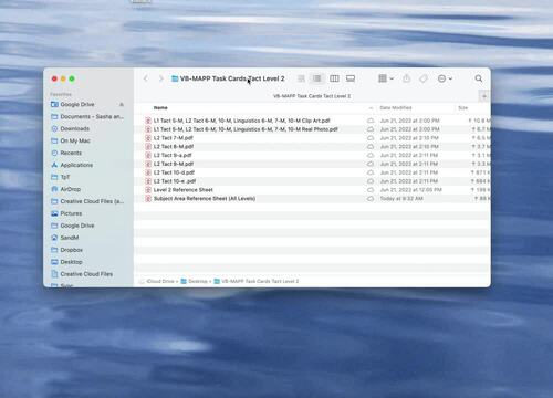 VB-MAPP Task Cards: Tact Level 2 by The Autism Helper | TPT