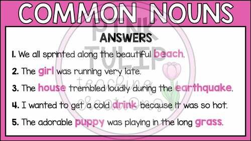 Types of Nouns PowerPoint - Guided Teaching by Pink Tulip Teaching ...