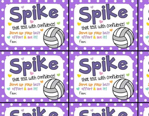 Volleyball-Themed Testing Motivation Gift Tag- Spike that test with ...
