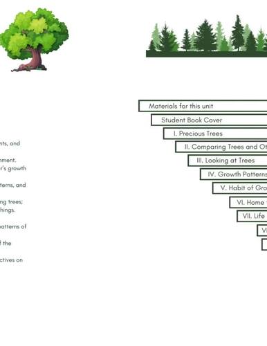 Trees and Forests: Problem Solving Science Investigations | TPT