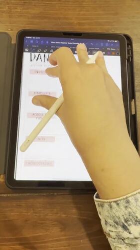 Dance Teacher Planning Bundle – Pink Edition | Printable PDF for Dance ...