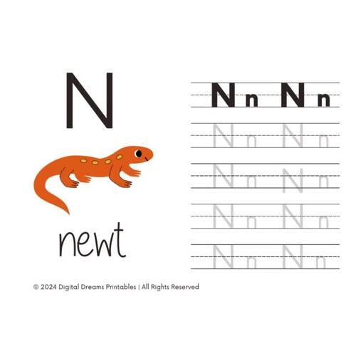Tracing Alphabet Letters Practice N for Newt Booklet Uppercase + Lowercase