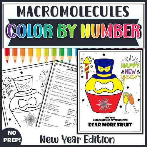 Macromolecules New Year's Color by Number | Science Biology Review Activity