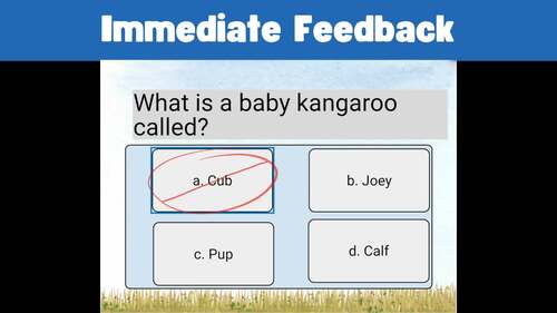 Kangaroos Modified Assessment - Supplemental to Journey's 5th Gr. U2 L6