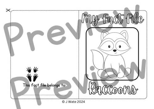 Animal Research Project | Animal Habitats | Raccoons Fact File Worksheets