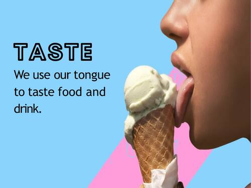 I Can Taste: A sense of tast activity | TPT
