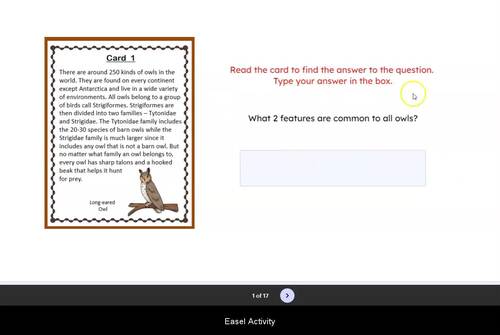 All About Owls Scavenger Hunt with Easel Option by CarolJ Creations