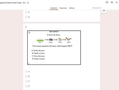 8th Grade Science 20 Review Task Cards | Energy, Biodiversity & Succession