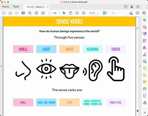 The Ultimate Sense Verbs Bundle by ESL Class Workshop | TPT