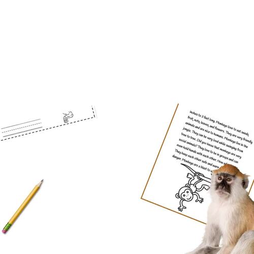 All About Monkeys Thematic Non-Fiction Animal Unit - Zoo Animal Research