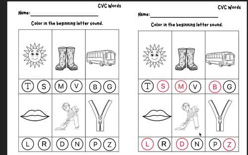 CVC Words and Digraph Combo Packet by Blaire's Teaching Resources