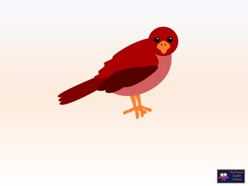 LES ANIMAUX - POWERPOINT on ANIMALS in French by The French English teacher