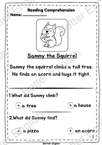 Reading Comprehension Stories for Grade 1 – 4 Levels, 40 Passages