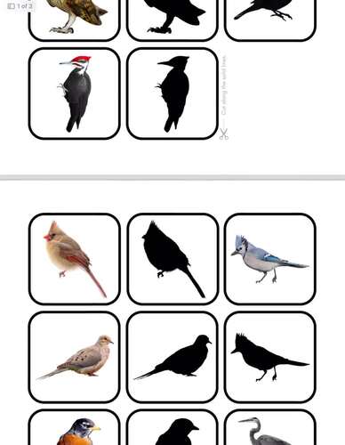 Bird Silhouette Matching Cards, Spring Activity, Memory Game, Science ...