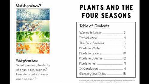 Plants and the Four Seasons Nonfiction Book | Print and Digital | Leveled