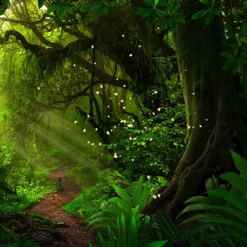 LANDSCAPES in ART Bilingual Bundle – STEAM Art Lessons, Ecosystems Art ...