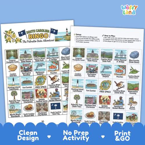 South Carolina State Geography BINGO Game | Symbols Landmarks History ...