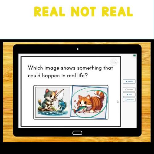Which Could Happen In Real Life | Real Not Real | Boom Cards | TPT
