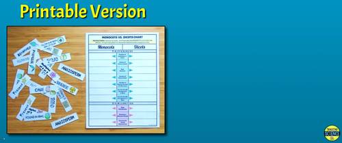 Monocots vs. Dicots Card Sort Activity | Printable PDFs & Google Slides ...