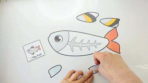 X-Ray Fish Craft Letter of the Week Activity Letter X Coloring Tracing ...