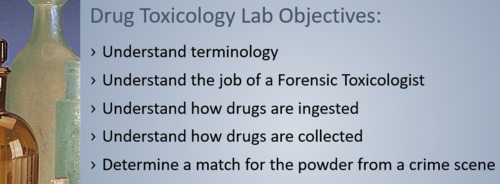 Drug Toxicology Lab Bundle by Sandra Friedli | TPT