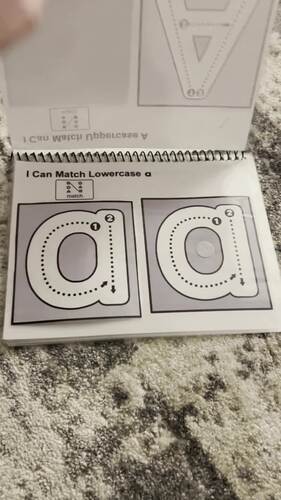 Adapted Letter A Workbook by Visuals and Vaughan | TPT