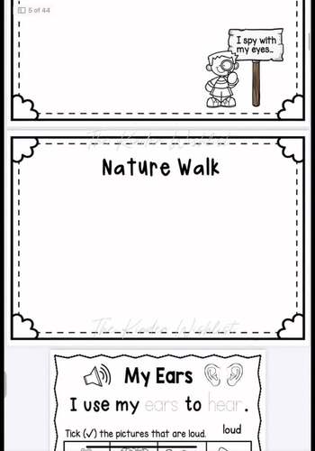 My Five Senses 15 Creative Worksheets for Kids NO PREP Kindergarten ...