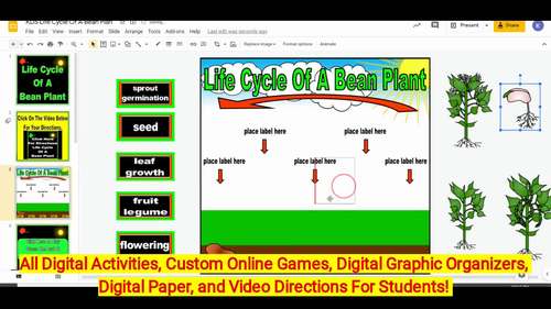 Life Cycle Of A Bean Plant Activities - Digital - NO PREP! | TPT
