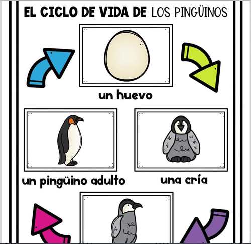 Los pinguinos- Penguins in Spanish by La Maestra Pati Bilingue | TPT