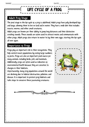 All About Frogs Unit: Life Cycle of a Frog Activities Reading, Writing ...