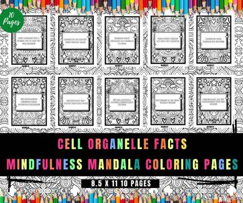 Cell Organelle Activity Facts, Craft Door Decorations Saying, No Prep