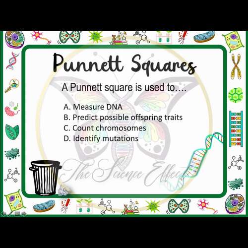 Punnett Squares Crumple & Shoot Game ~ Trashketball Science Review Game