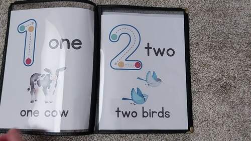 Book of Numbers, Early Math Concepts, Teach Numbers and Counting, No Prep