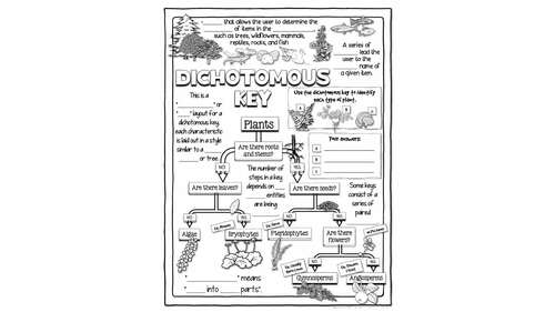 Dichotomous Key Doodle Notes & Quiz | Life Science Differentiated Activity