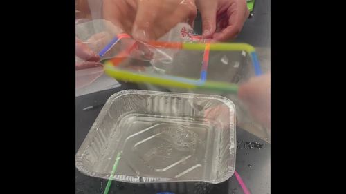 Cell Membrane Properties Lab Experiment -Bubbles with Household Materials!